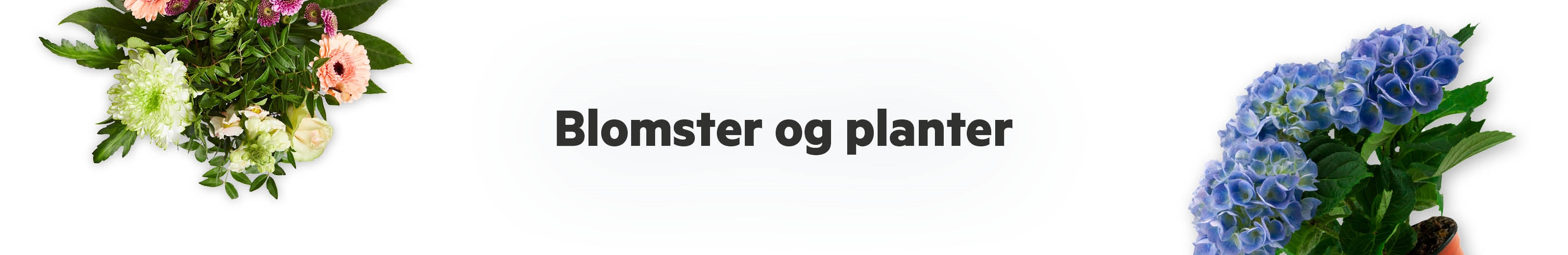 Levering af dagligvarer med online supermarkedet | nemlig.com