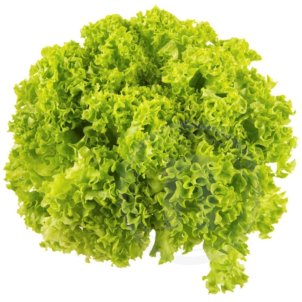 Bionda salat – Leveret med nemlig.com