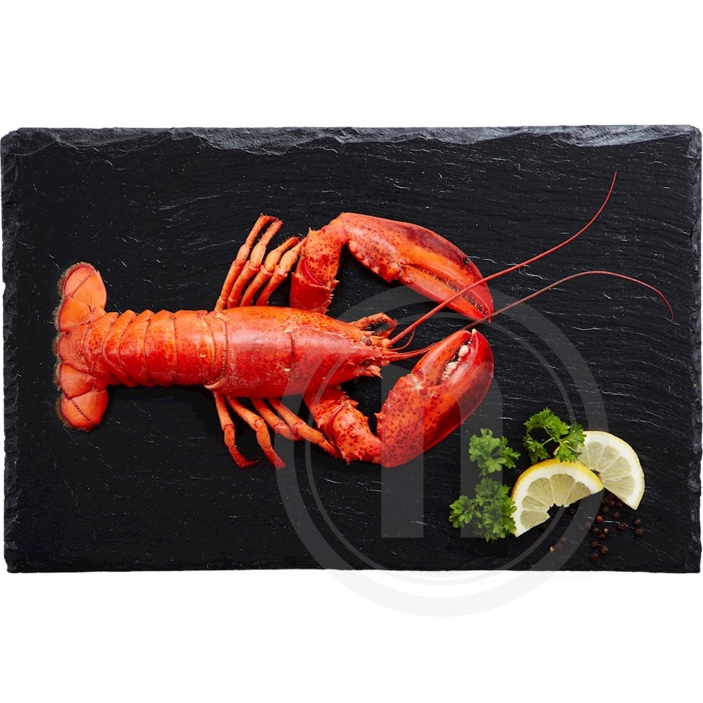 Canadisk hummer (kogt) fra Poseidon Seafood – Leveret med nemlig.com
