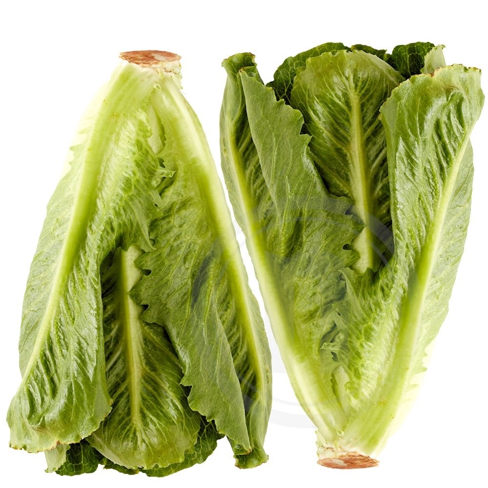 Crunchita salat øko. fra Axel Månsson – Leveret med nemlig.com