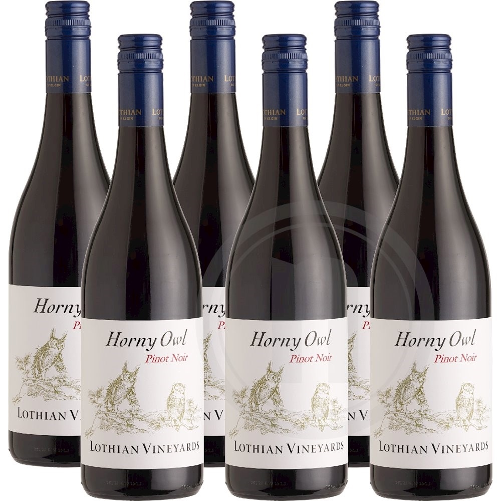Horny Owl Pinot Noir – Leveret med nemlig.com