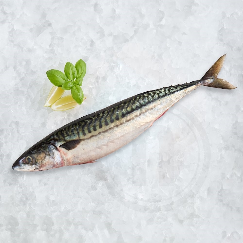 Makrel (hel) fra Poseidon Seafood – Leveret med nemlig.com