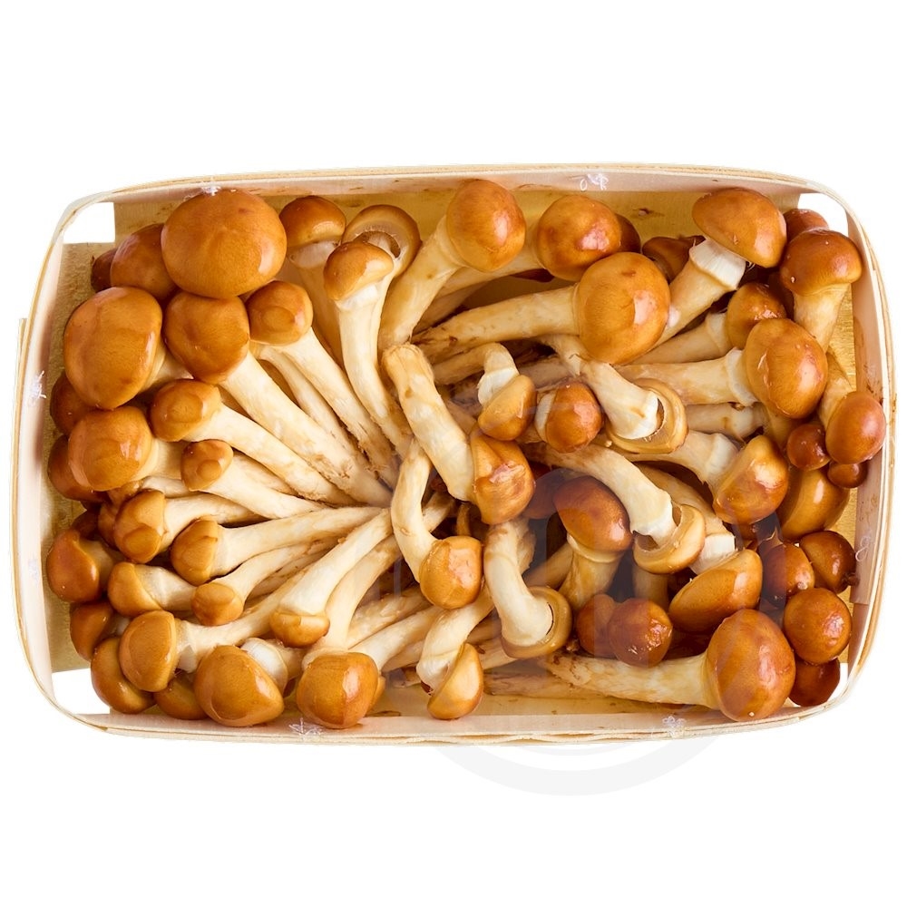 Nameko øko. – Leveret med nemlig.com