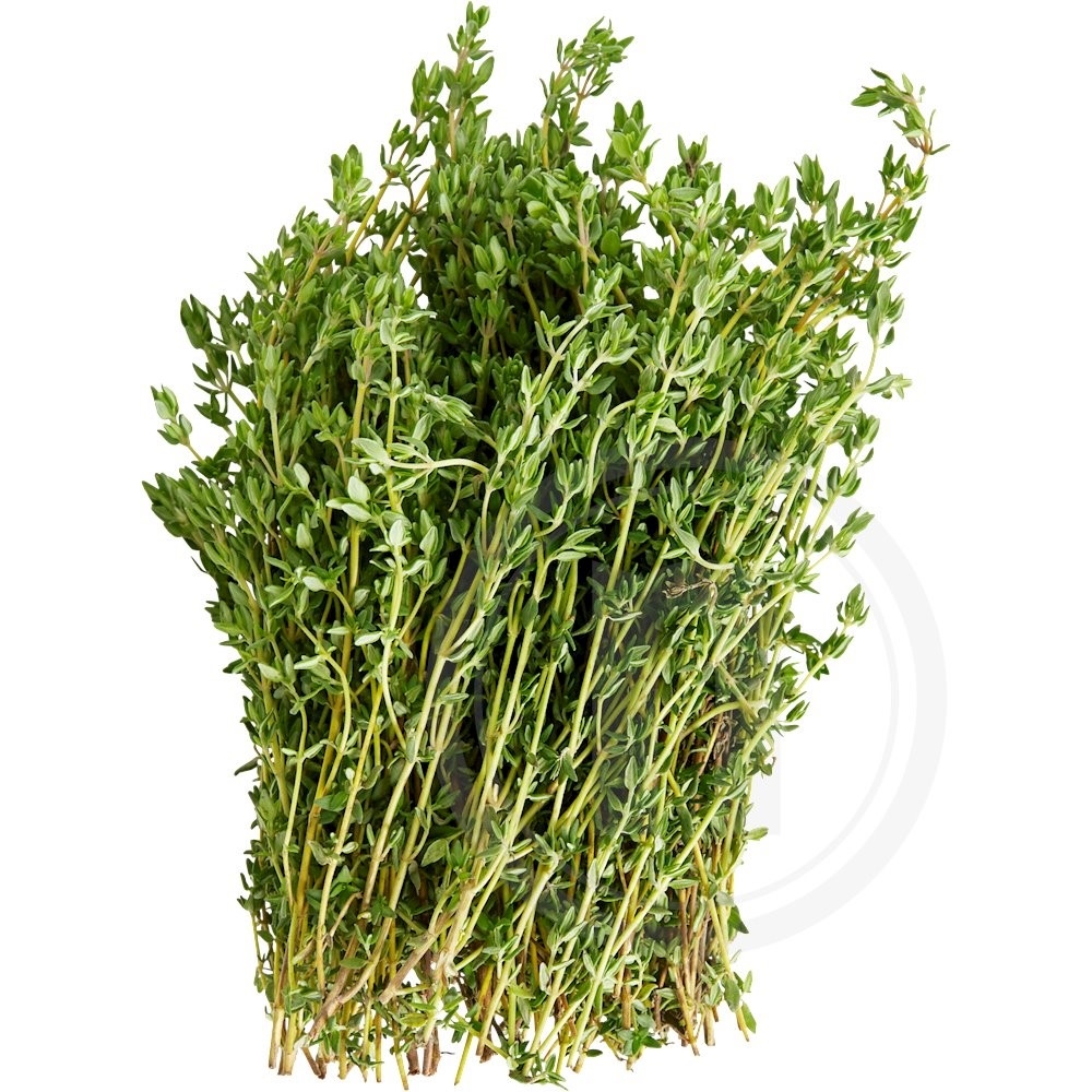 Timian fra Kryddergrønt – Leveret med nemlig.com